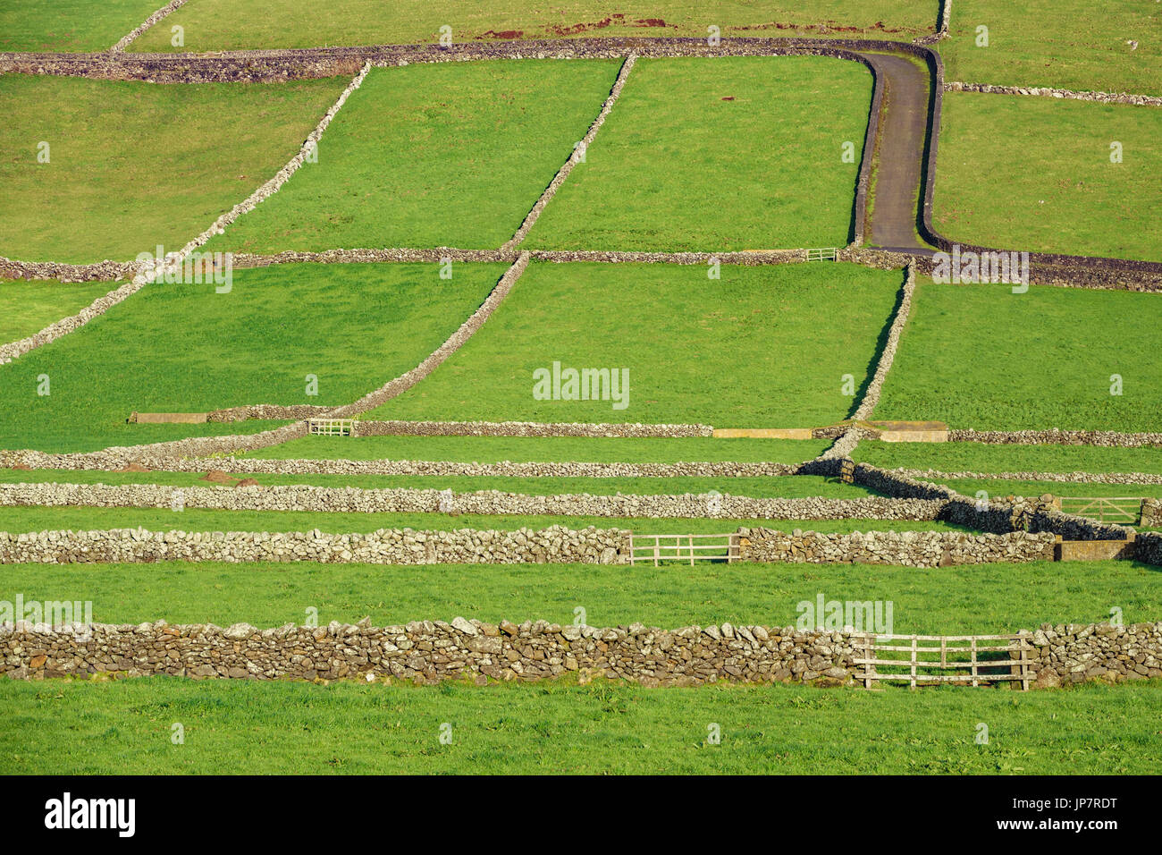 Farm fields with stone walls in the Terceira island in Azores Stock ...