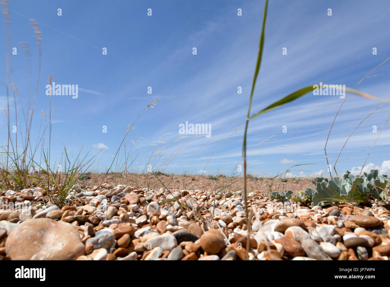 The Strange Landscape of Dungess, Kent, England, UK Stock Photo - Alamy