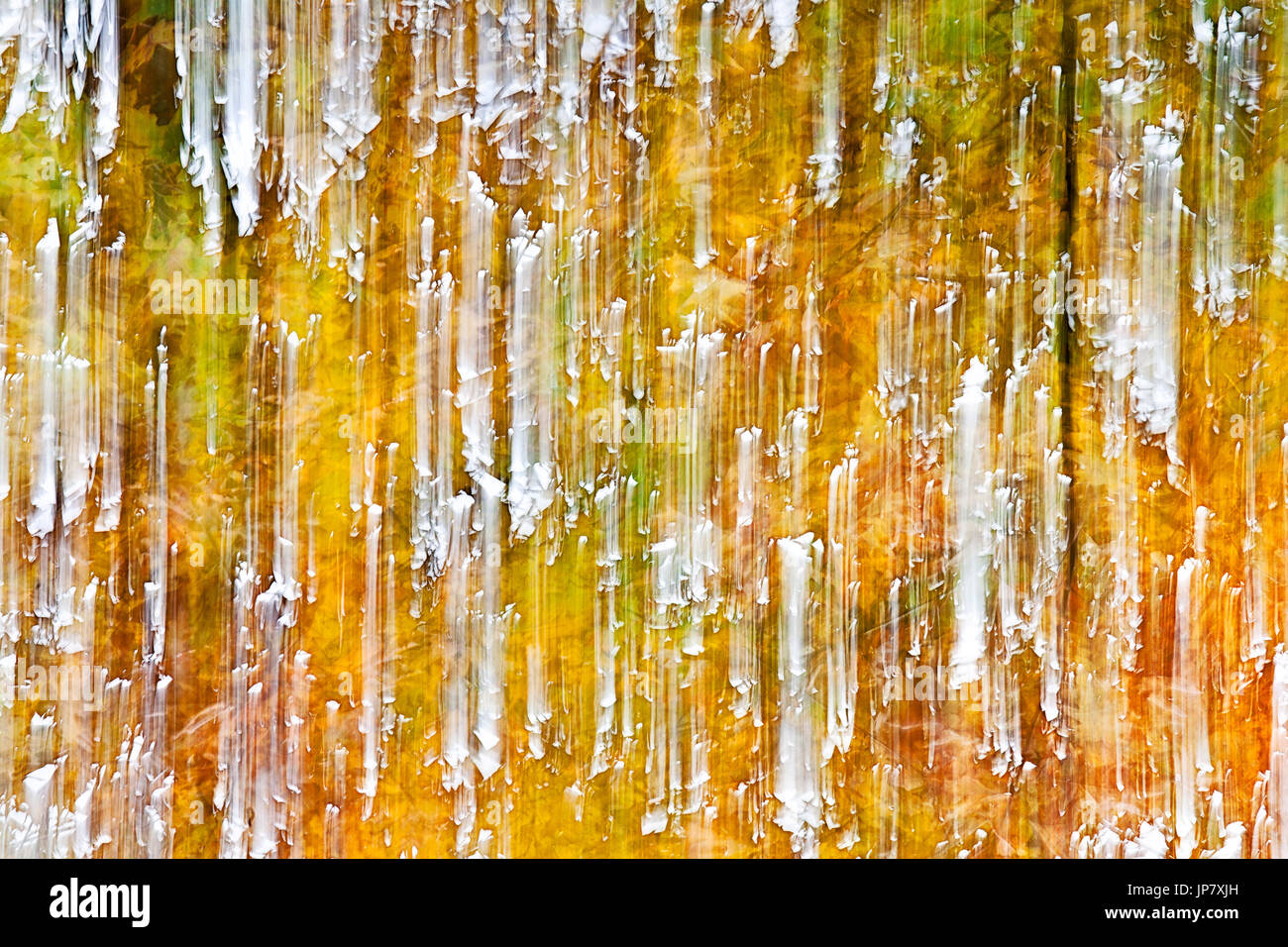 Abstract photograph of fall leaves Stock Photo - Alamy