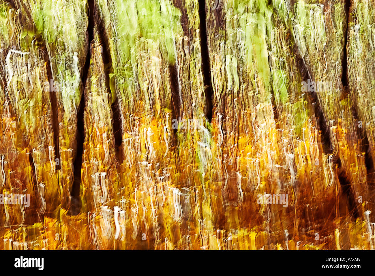 Calming spirit hi-res stock photography and images - Alamy