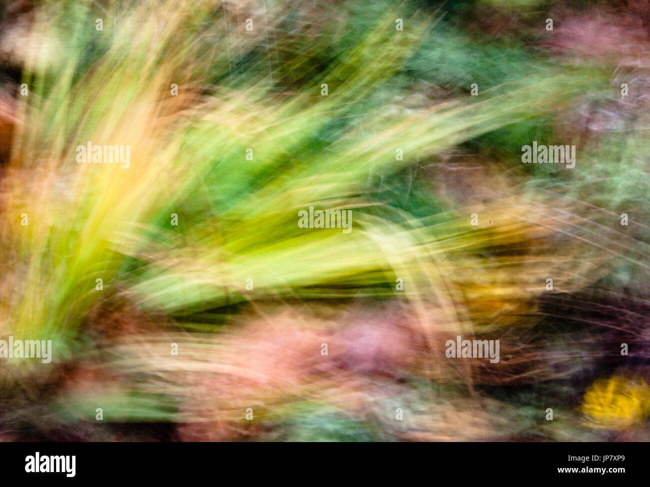 Abstract nature photograph hi-res stock photography and images - Alamy