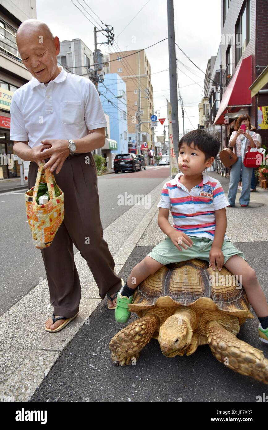 A tortoise with a boy on its back takes a stroll along a street with ...