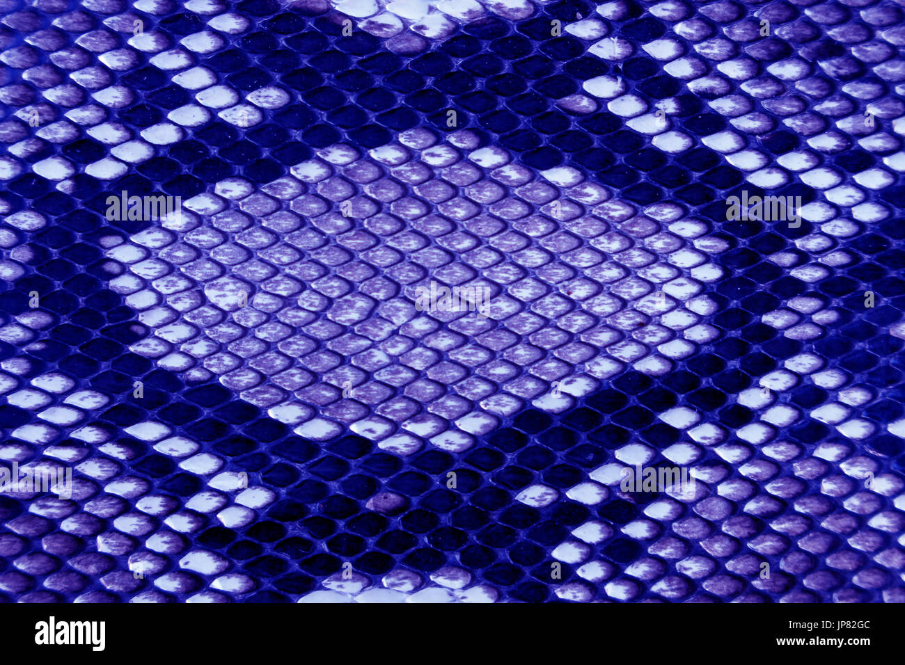 blue texture leather skin Stock Photo - Alamy