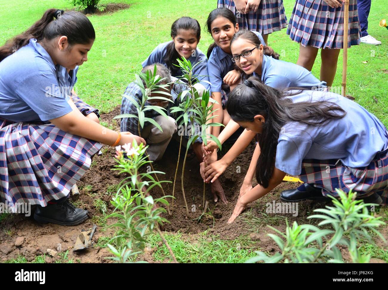 School students plant as many as 70 oleander flower saplings in New ...