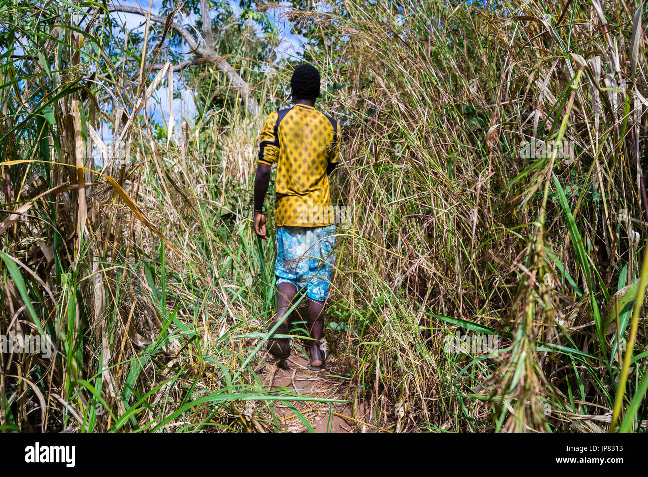 Boy walking alone in bushes Stock Photo - Alamy