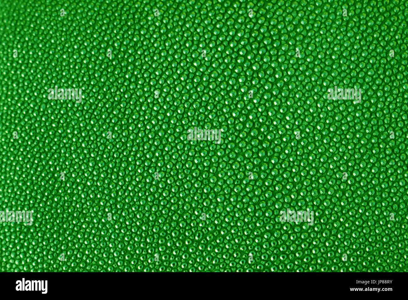 Shagreen hi-res stock photography and images - Alamy