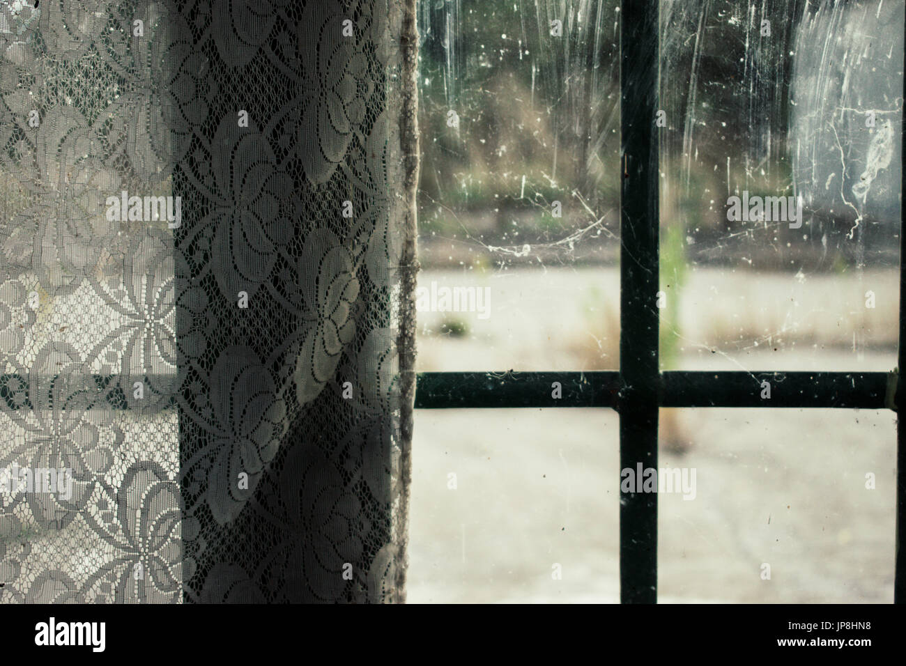 Observing through glass window hi-res stock photography and images - Alamy