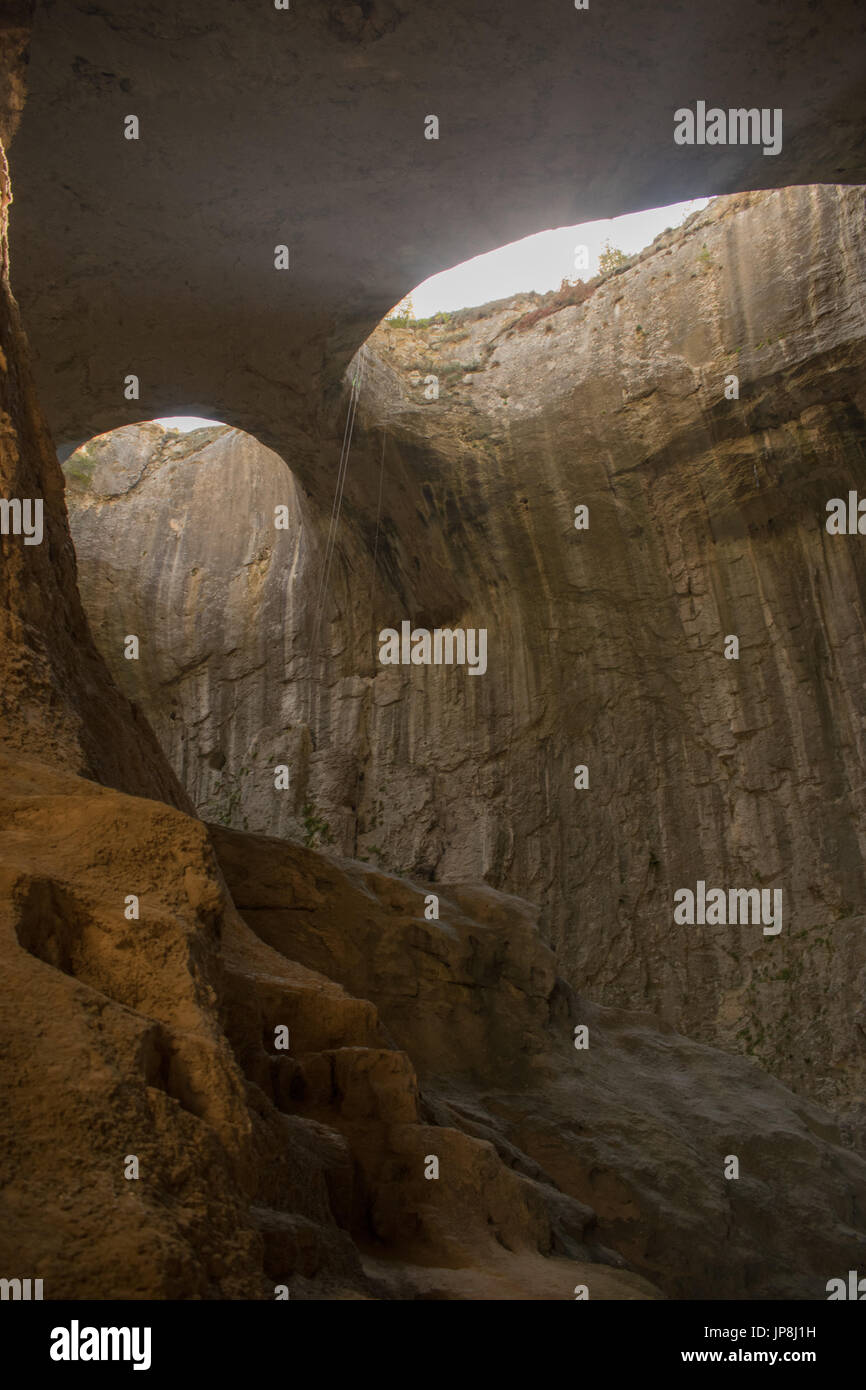 Ecology eyes hi-res stock photography and images - Alamy