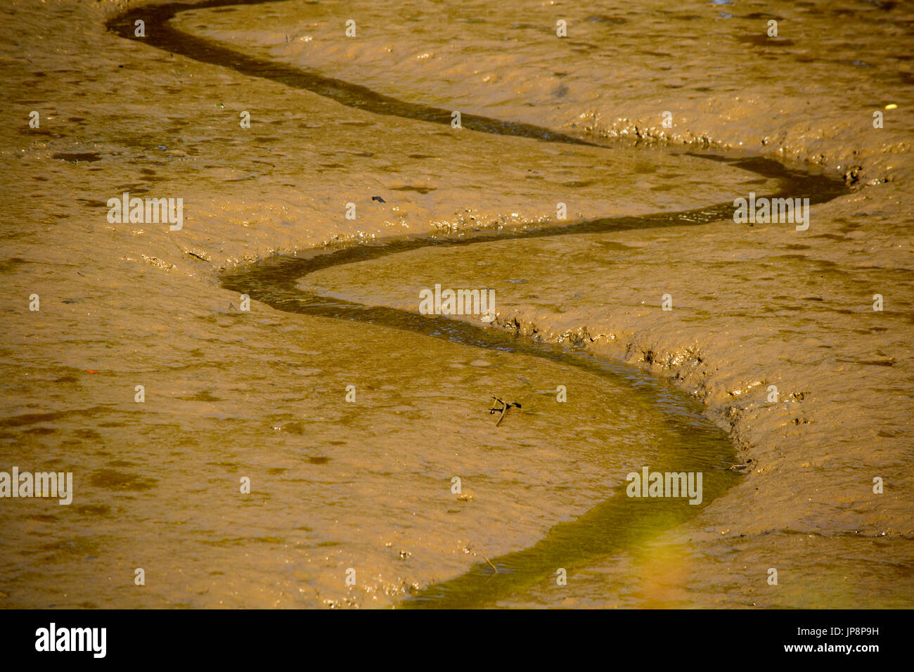 Estuary bed hi-res stock photography and images - Alamy