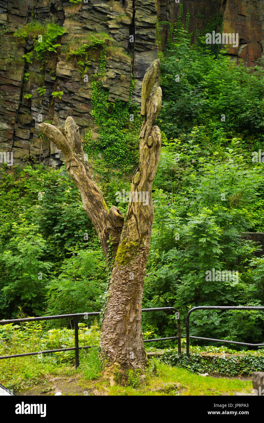Carving on a tree hi-res stock photography and images - Alamy