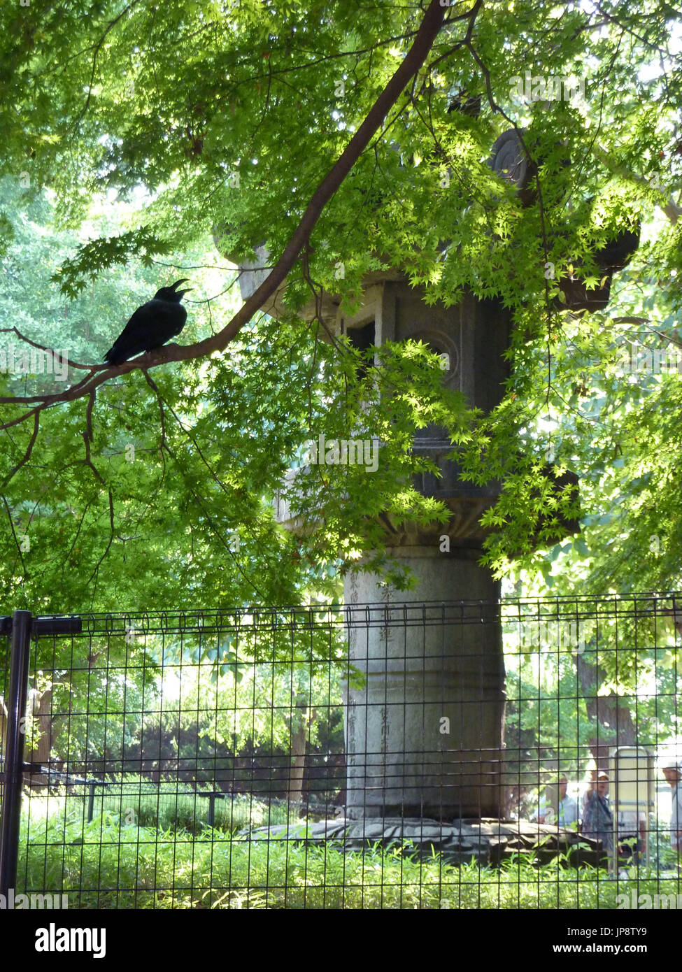 A stone lantern more than 6 meters tall, called the "Obake-doro ...