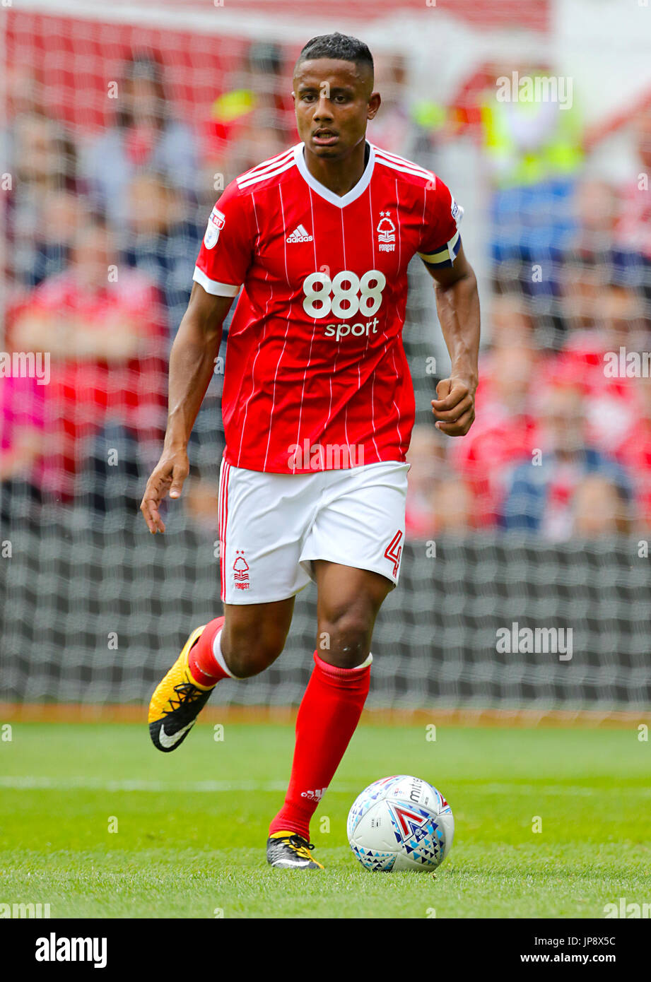 Michael mancienne forest hi-res stock photography and images - Alamy