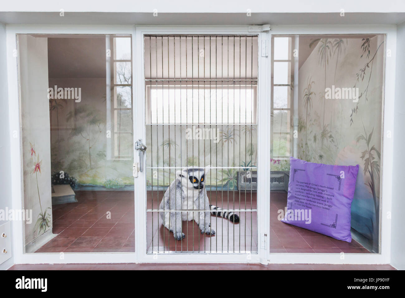 The courtaulds pet lemur bedroom hi-res stock photography and images ...