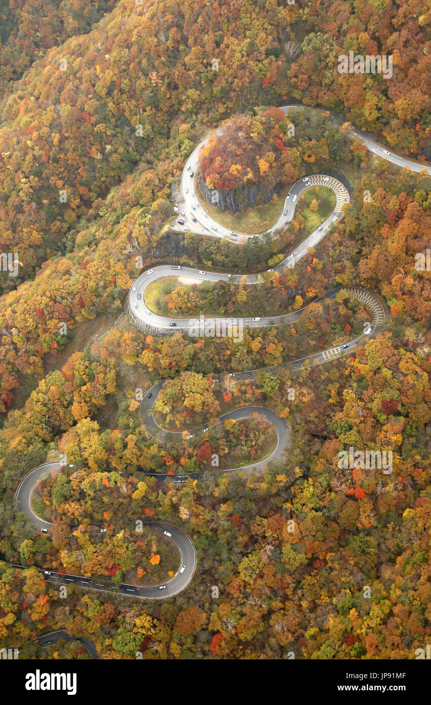 Autumn leaves are seen gracing the Irohazaka winding road in Nikko, a ...