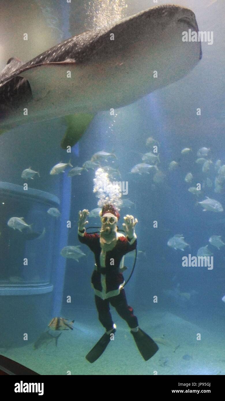A diver wearing a Santa Claus costume waves to onlookers from a tank ...