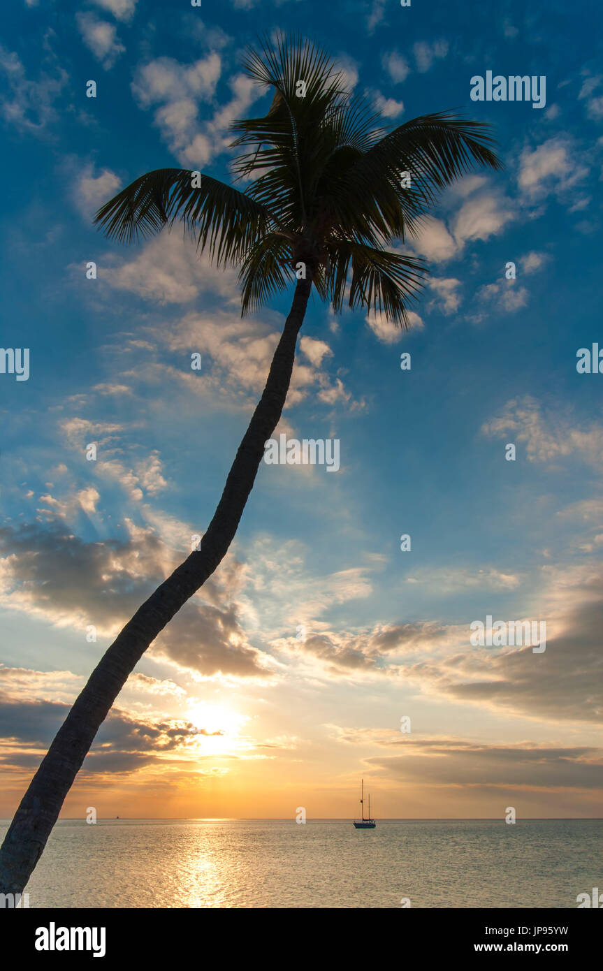 Islamorada hi-res stock photography and images - Alamy