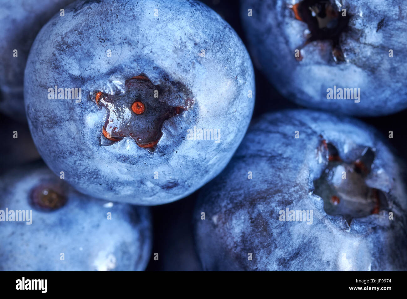 Extreme close up picture of ripe and fresh blueberries, shallow depth ...