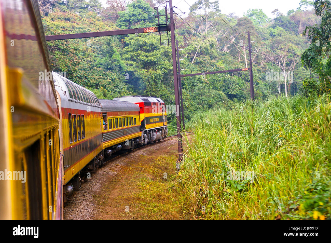 Views of the panama canal railway train in the rainforest traveling ...