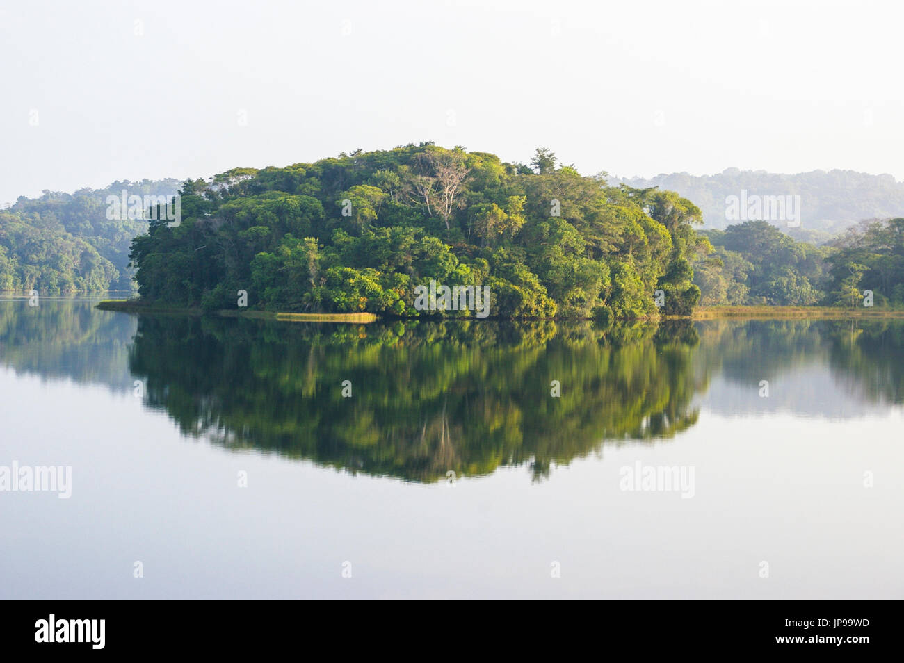 View of gatun lake from the panama canal railway train traveling from ...