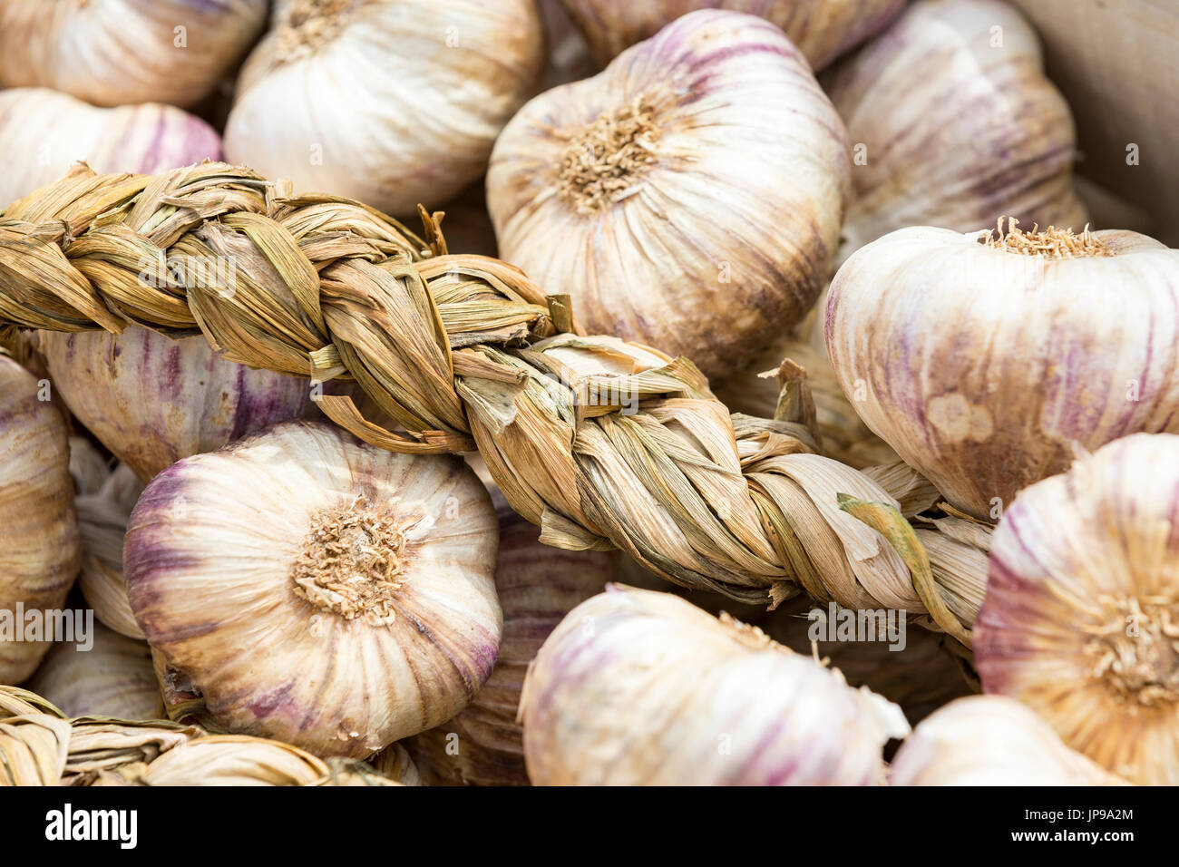 Strings of Garlic at the market FRance Stock Photo - Alamy