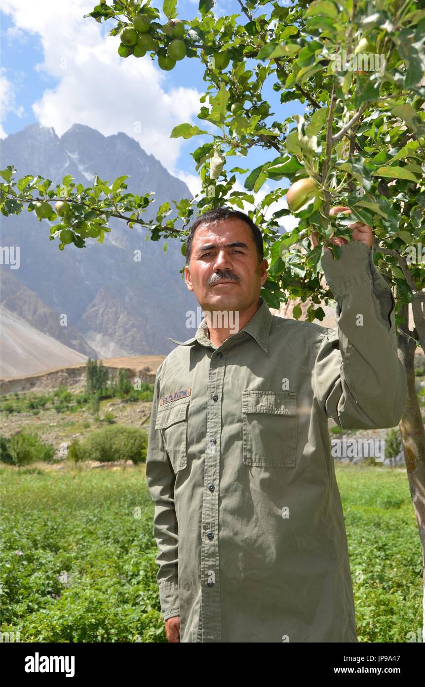 A Pakistani farmer stands in his orchard which grows a Japanese variety ...