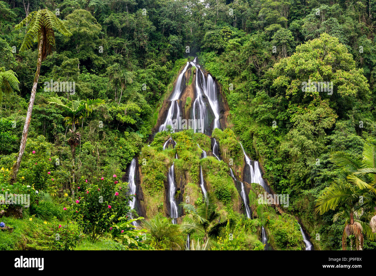Closeup view of dense green jungle and the waterfall at Santa Rosa de ...