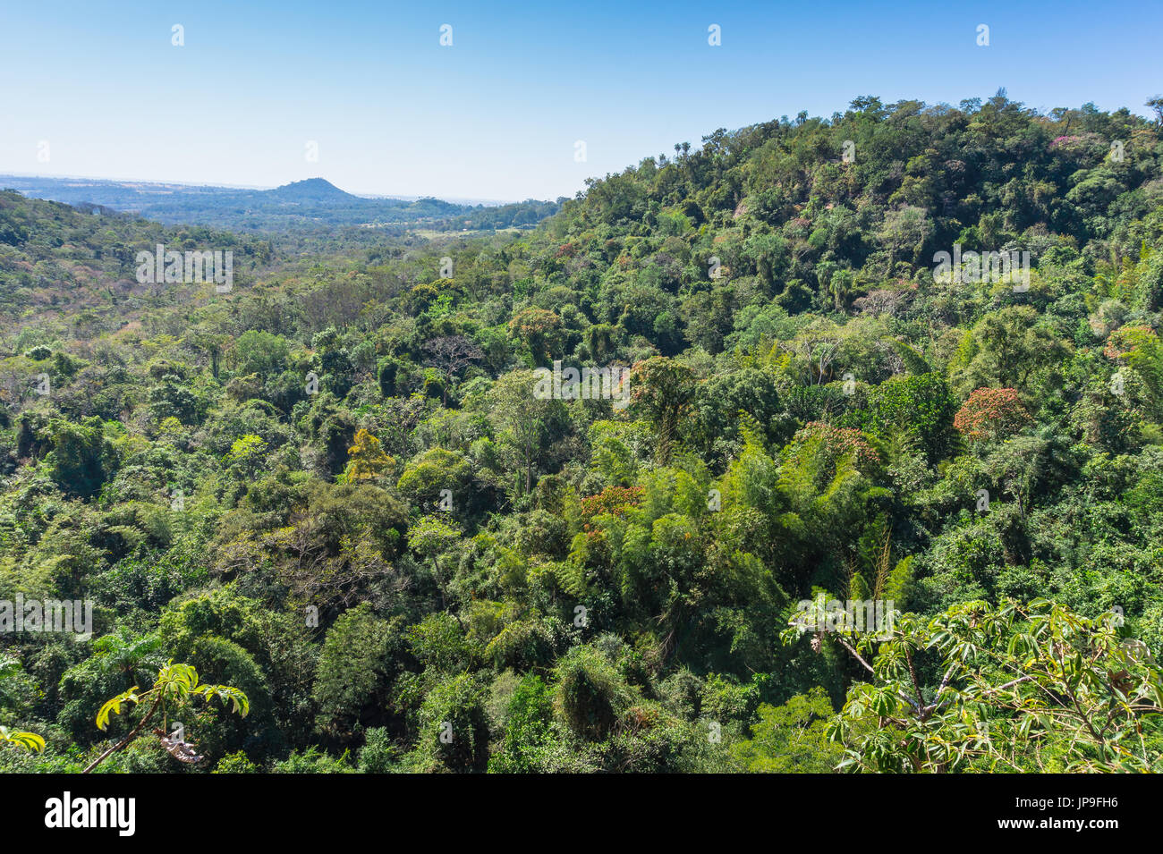 Travel paraguay plants hi-res stock photography and images - Alamy