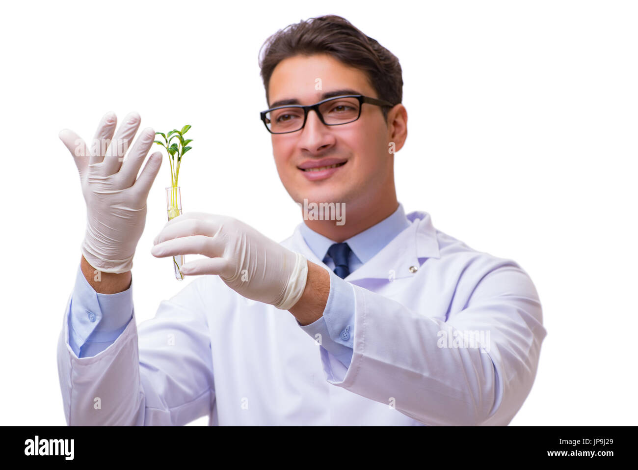 Scientist with green seedling in glass isolated on white Stock Photo ...