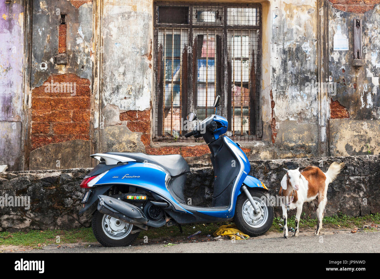 street scene, Cochin, Kerala, India Stock Photo - Alamy