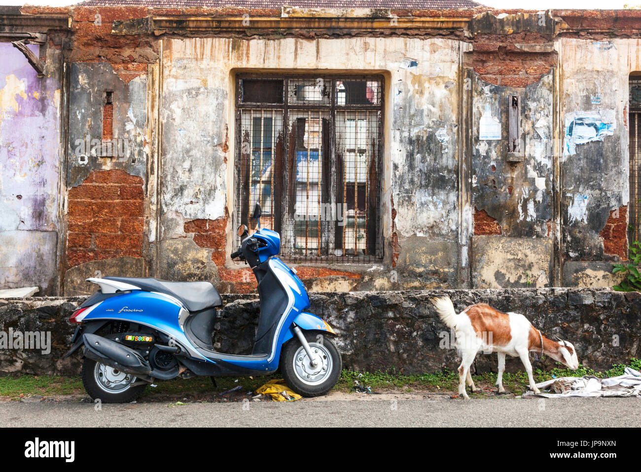 street scene, Cochin, Kerala, India Stock Photo - Alamy