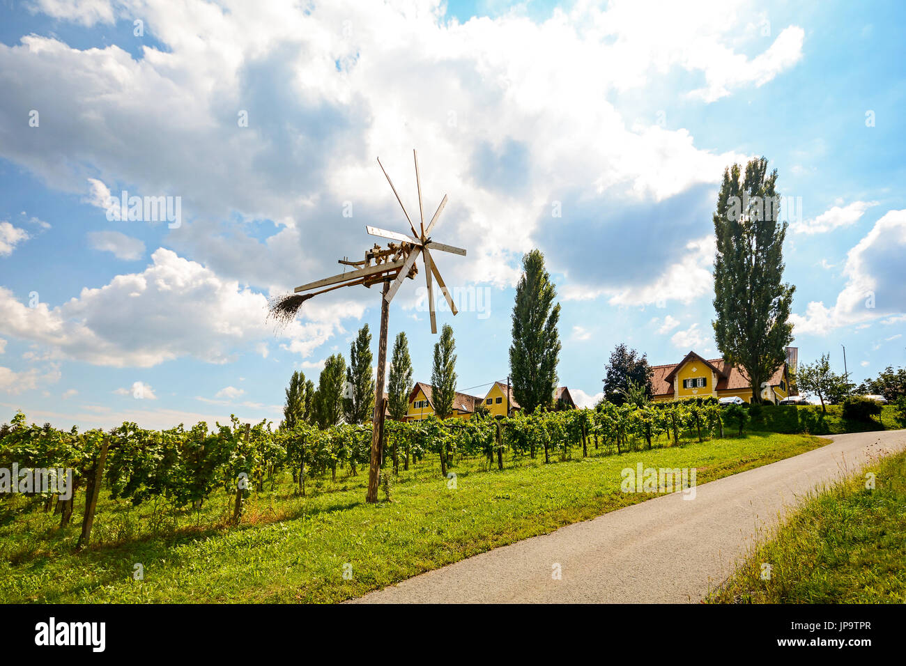 Vineyard german wine route hi-res stock photography and images - Alamy