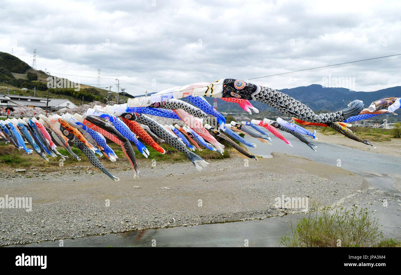 Around 100 carp streamers fly over a river in the town of Kudoyama in ...