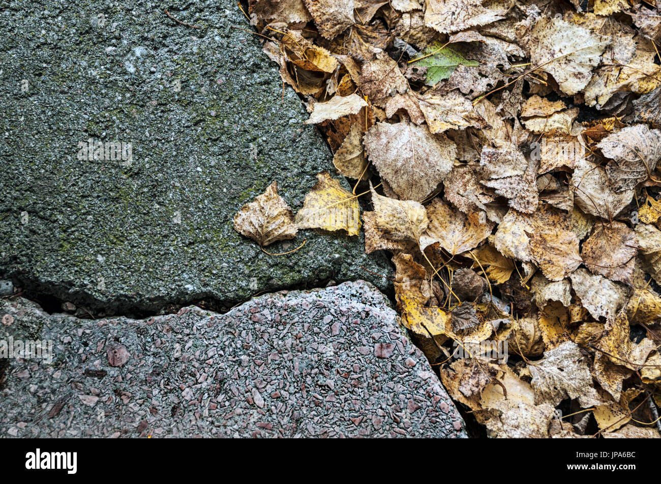 Symbol / Concepts, Fallen autumn leaves on the roadside Stock Photo - Alamy