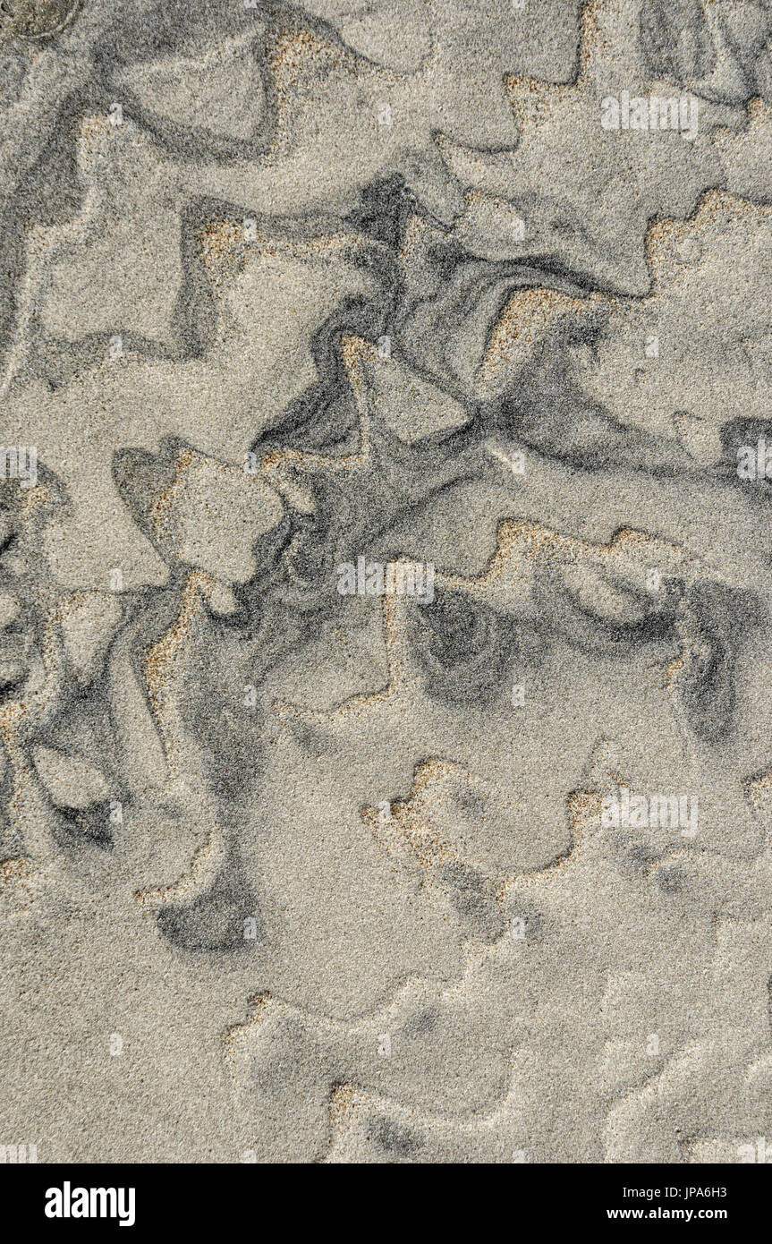 Natural Science, Sand on the beach, close-up Stock Photo - Alamy