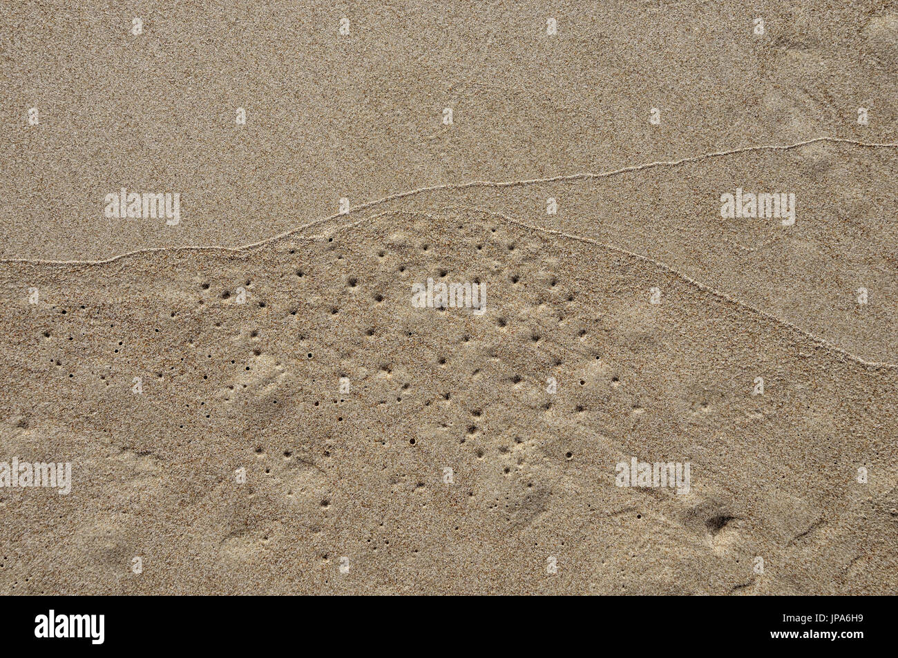 Natural Science, Sand on the beach, close-up Stock Photo - Alamy