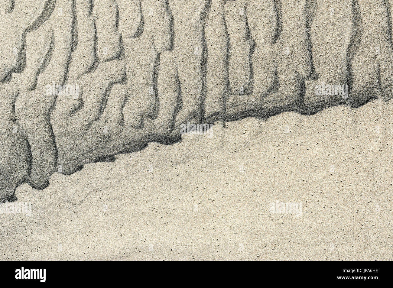 Natural Science, Sand on the beach, close-up Stock Photo - Alamy
