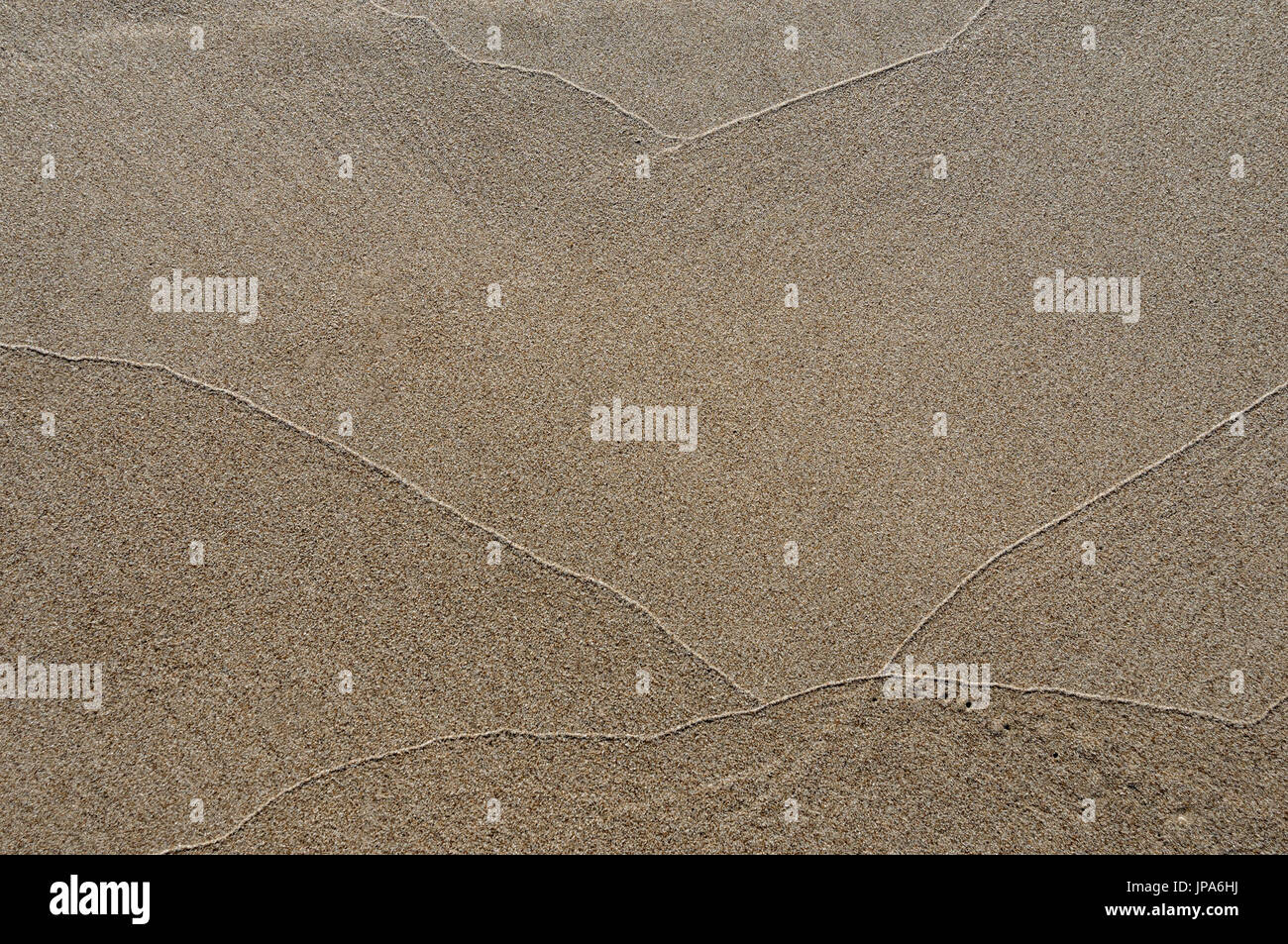 Natural Science, Sand on the beach, close-up Stock Photo - Alamy