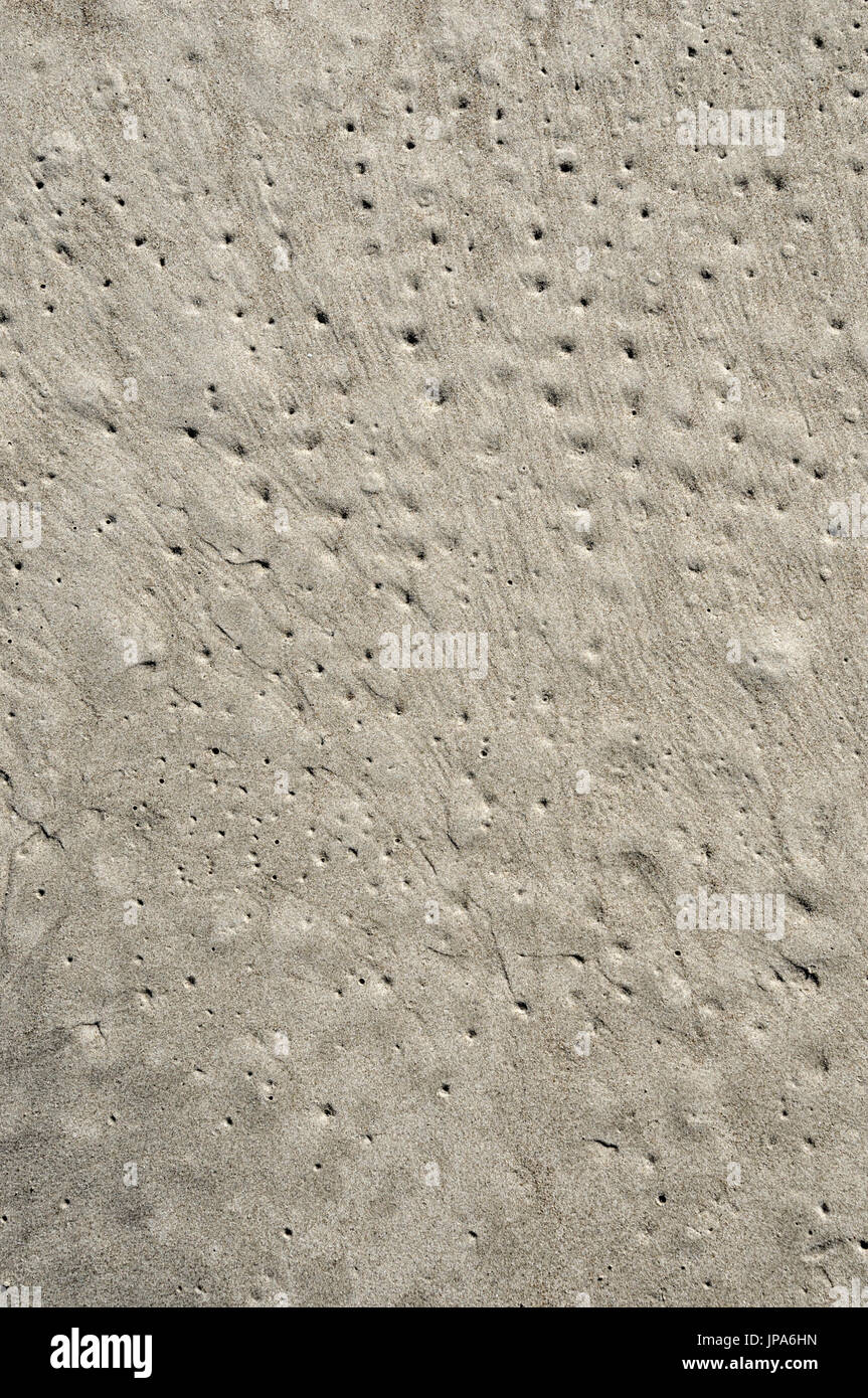 Natural Science, Sand on the beach, close-up Stock Photo - Alamy
