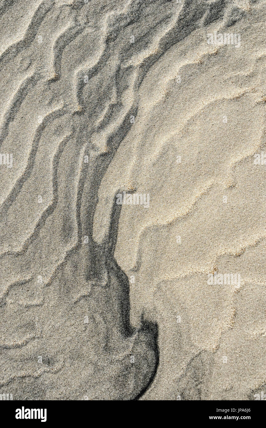Natural Science, Sand on the beach, close-up Stock Photo - Alamy