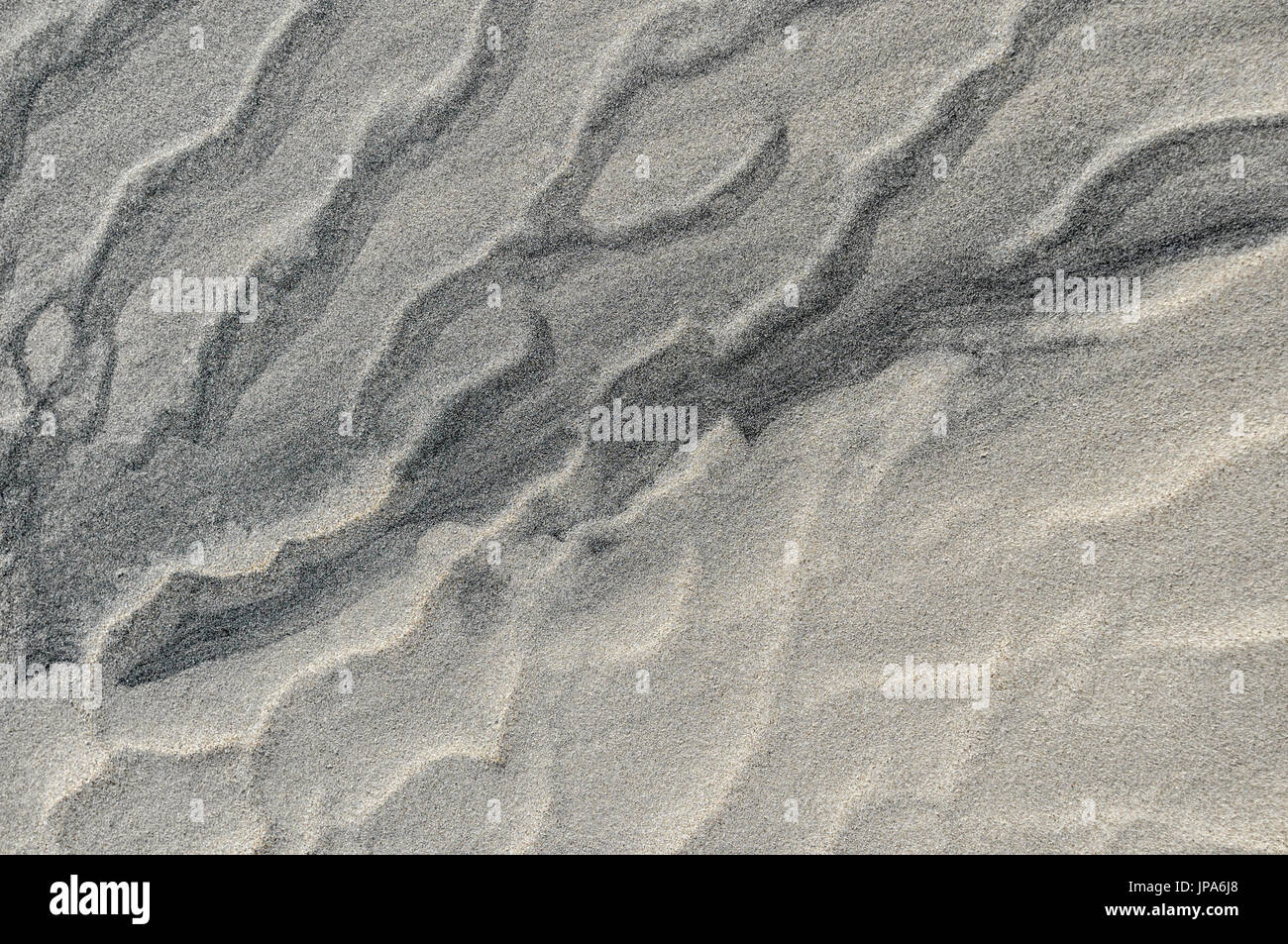 Natural Science, Sand on the beach, close-up Stock Photo - Alamy