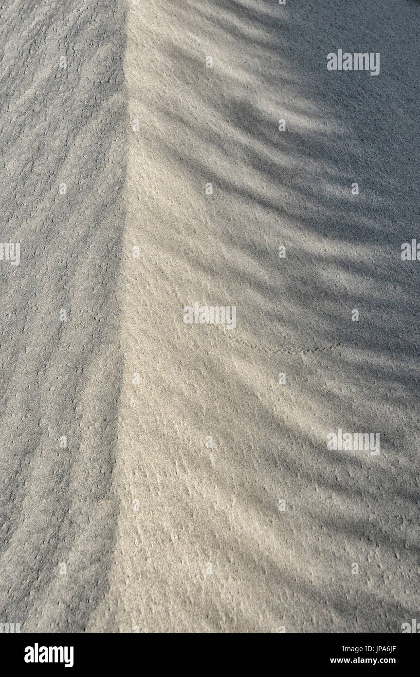 Natural Science, Sand on the beach, close-up Stock Photo - Alamy