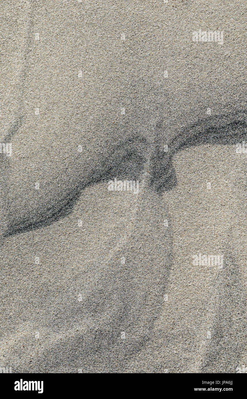 Natural Science, Sand on the beach, close-up Stock Photo - Alamy
