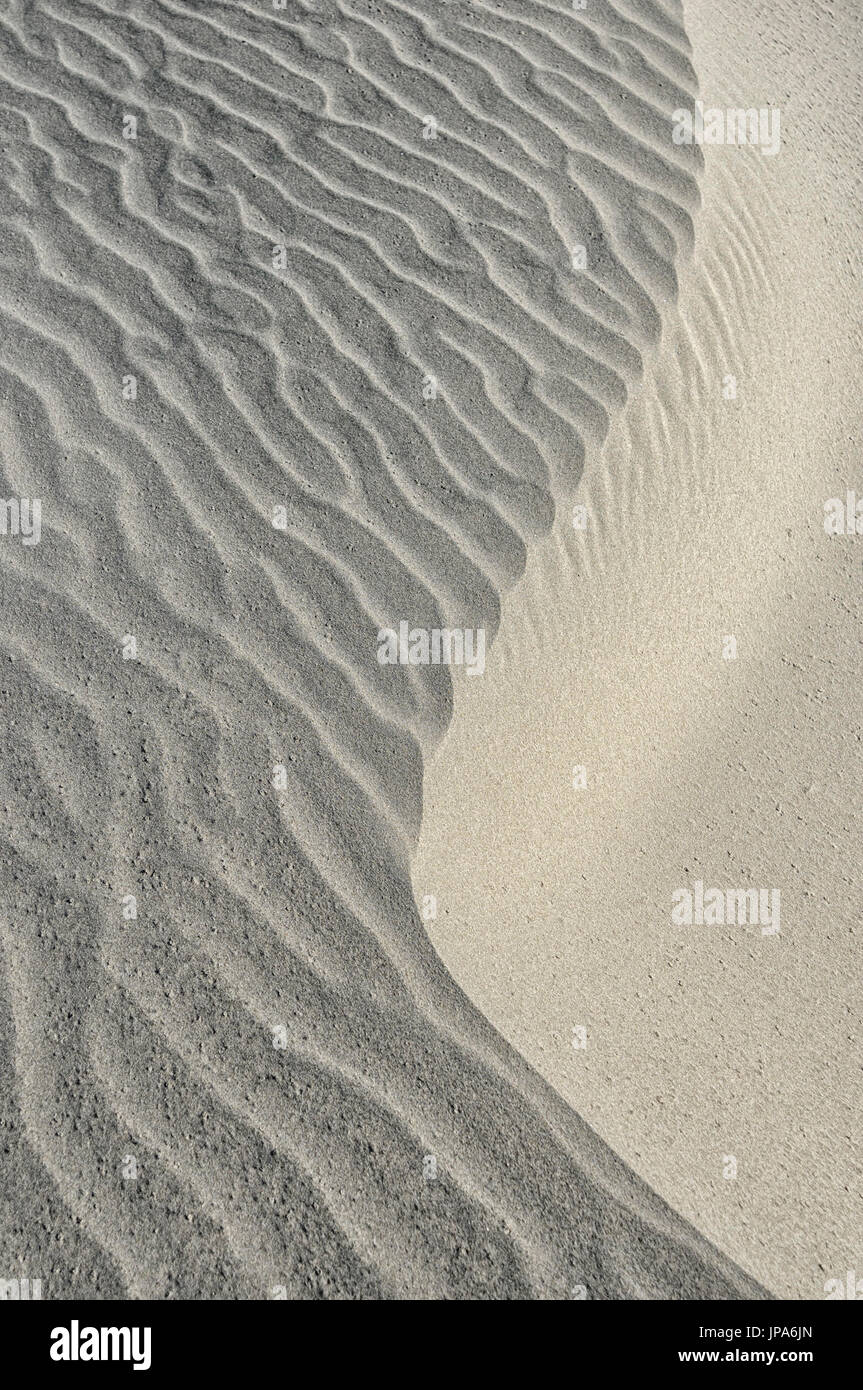 Natural Science, Sand on the beach, close-up Stock Photo - Alamy