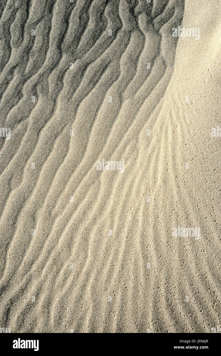 Natural Science, Sand on the beach, close-up Stock Photo - Alamy
