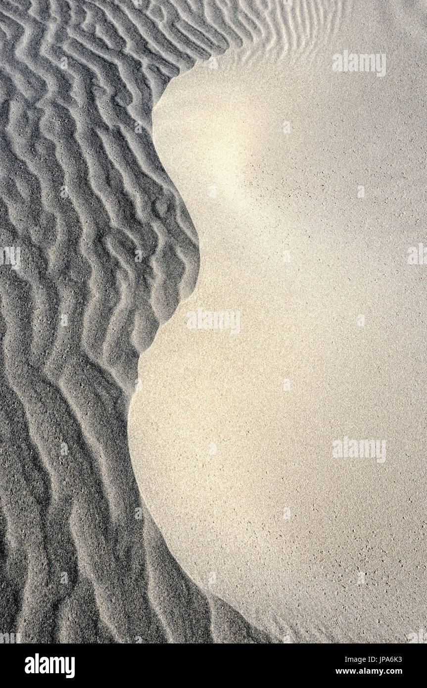 Natural Science, Sand on the beach, close-up Stock Photo - Alamy