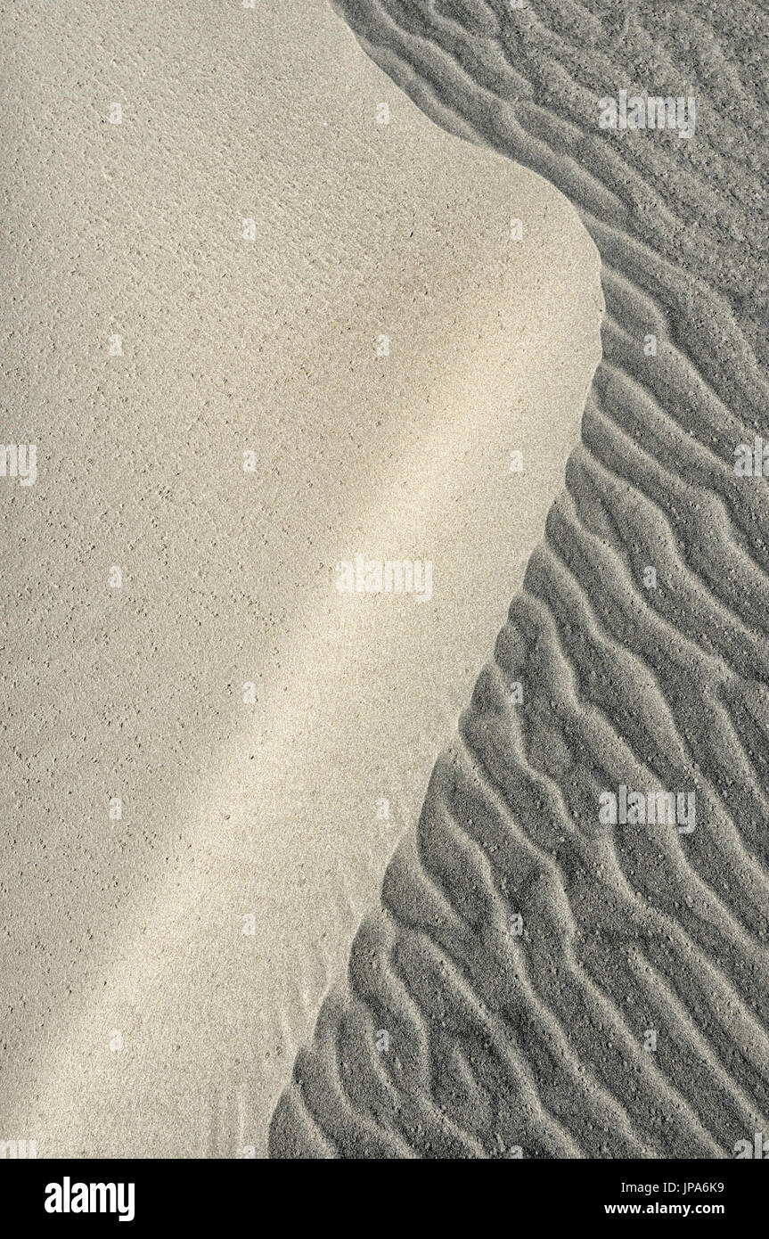 Dune science hi-res stock photography and images - Alamy