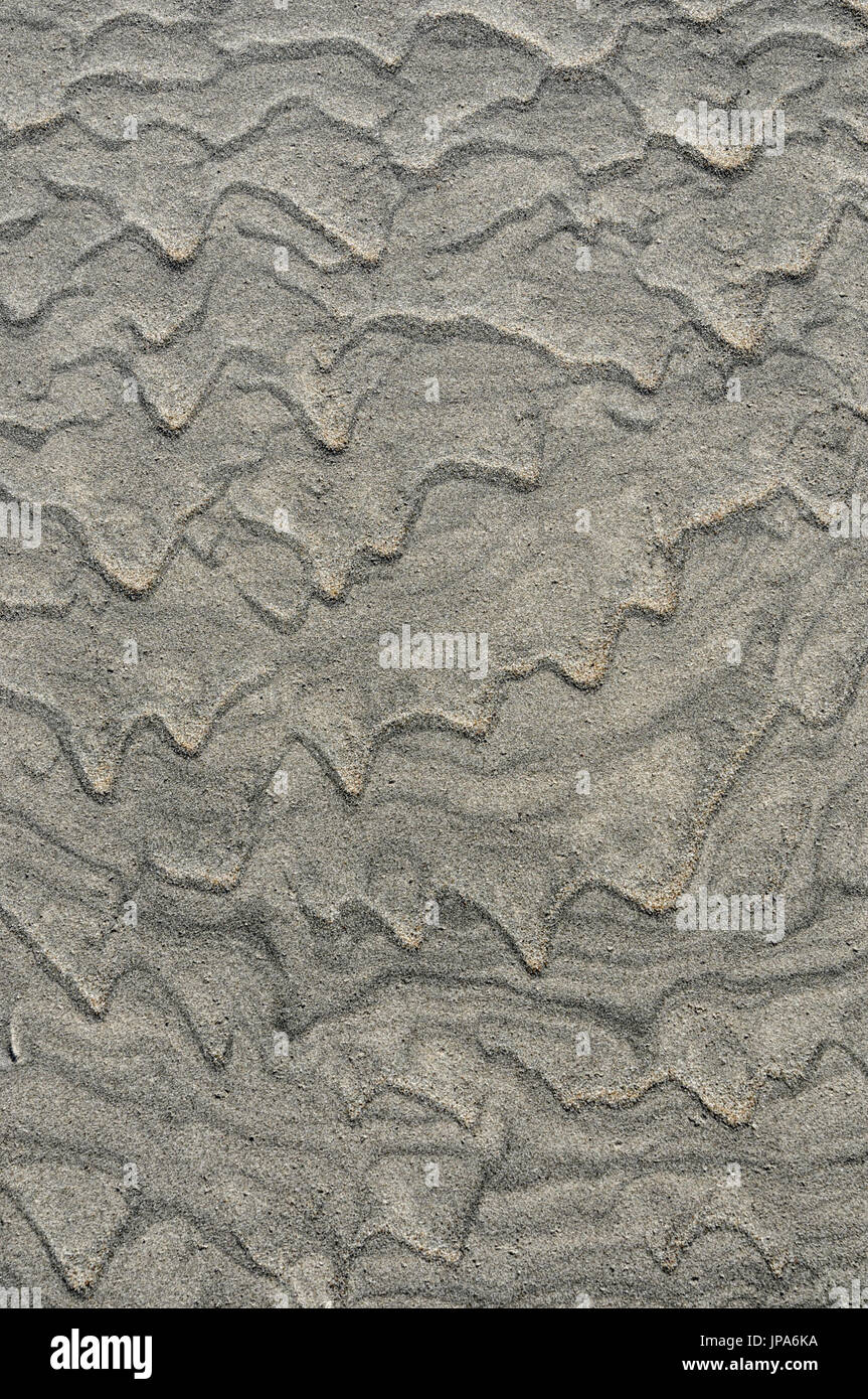 Natural Science, Sand on the beach, close-up Stock Photo - Alamy