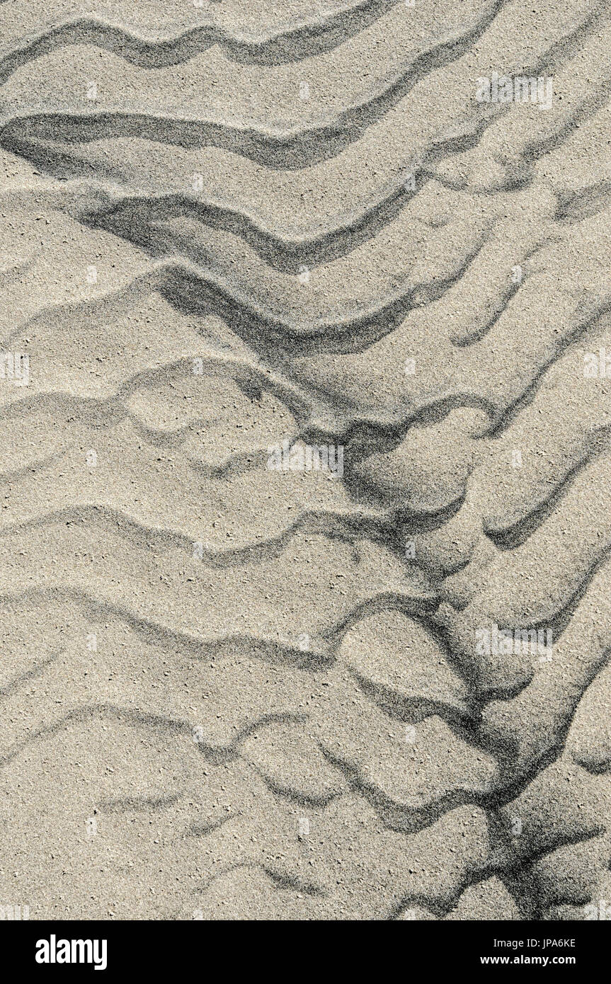 Natural Science, Sand on the beach, close-up Stock Photo - Alamy
