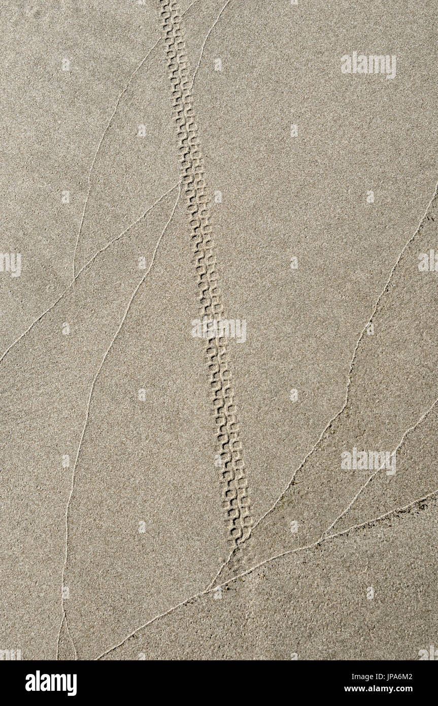 Natural Science, Sand on the beach, close-up Stock Photo - Alamy