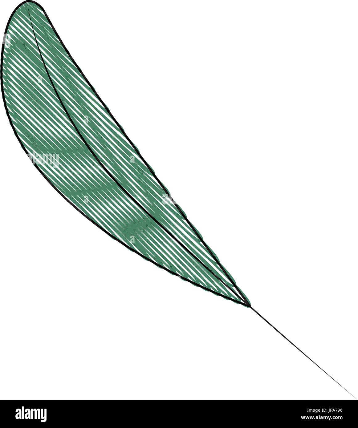 white background of colored crayon silhouette of leaf lanceolate Stock ...